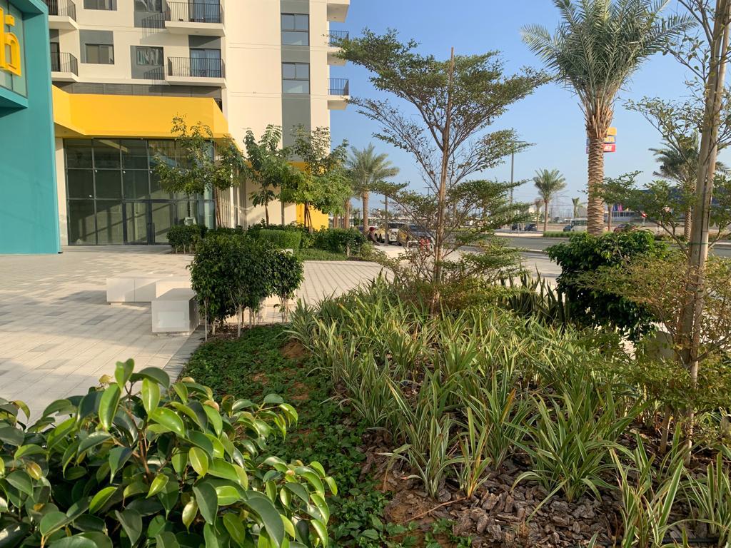 Projects - Shayealandscape